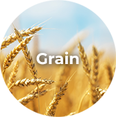 AgVantage Software, Inc.