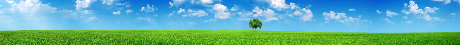 AgVantage Software, Inc.